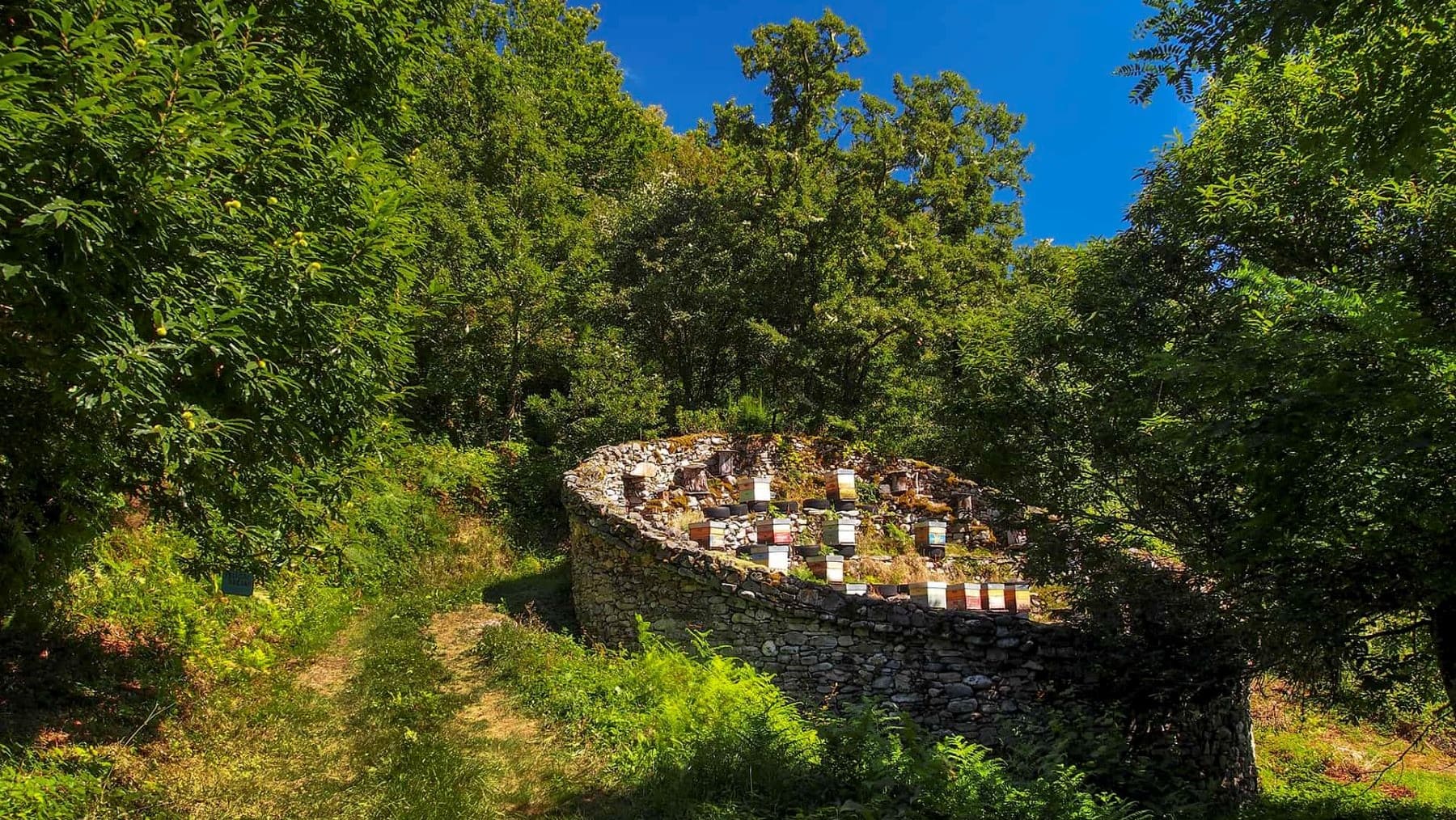 Investissements dans le parc naturel « Fuentes del Narcea, Degaña et ...