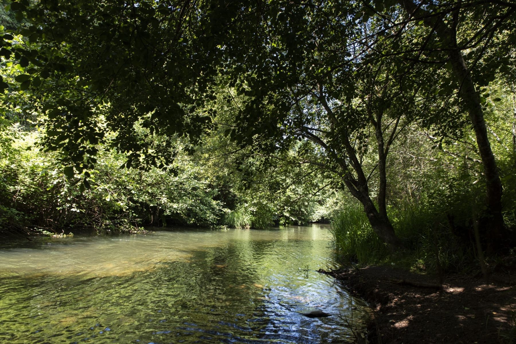 Travaux de conservation d'un tronçon du fleuve Méro, à Cambre (Galice ...
