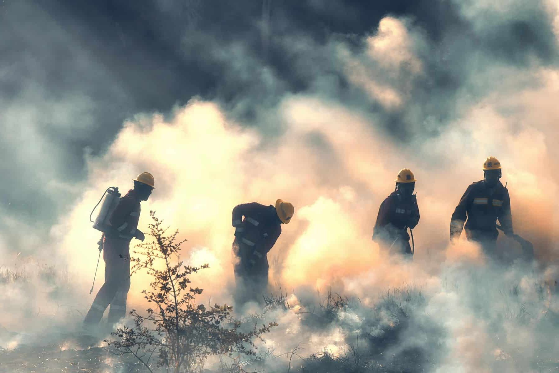 Que faire s'il y a un feu de forêt près de chez moi? - Espèces-menacées.fr