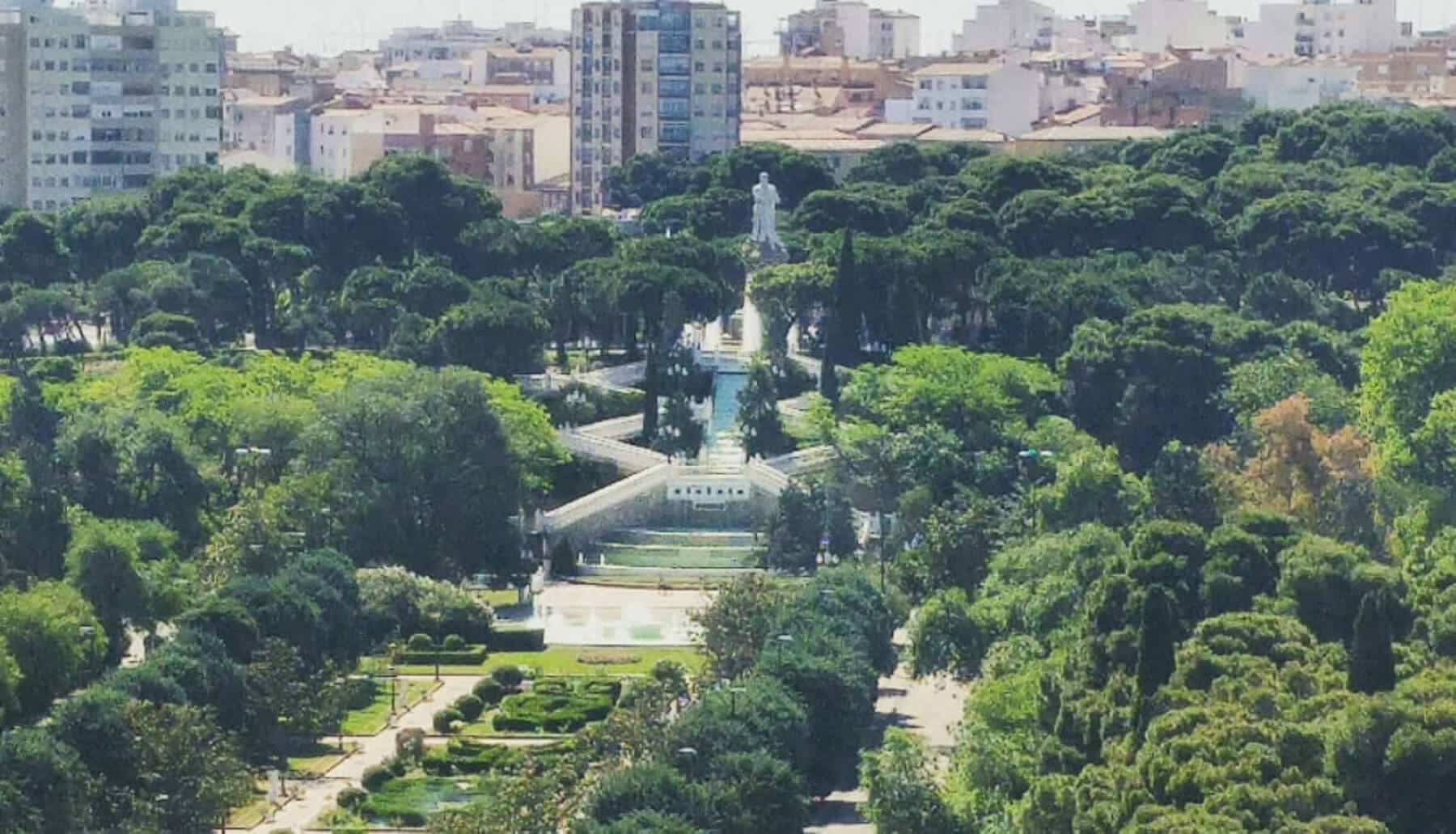 Arboricide dans le centre de Zaragoza - Espèces-menacées.fr