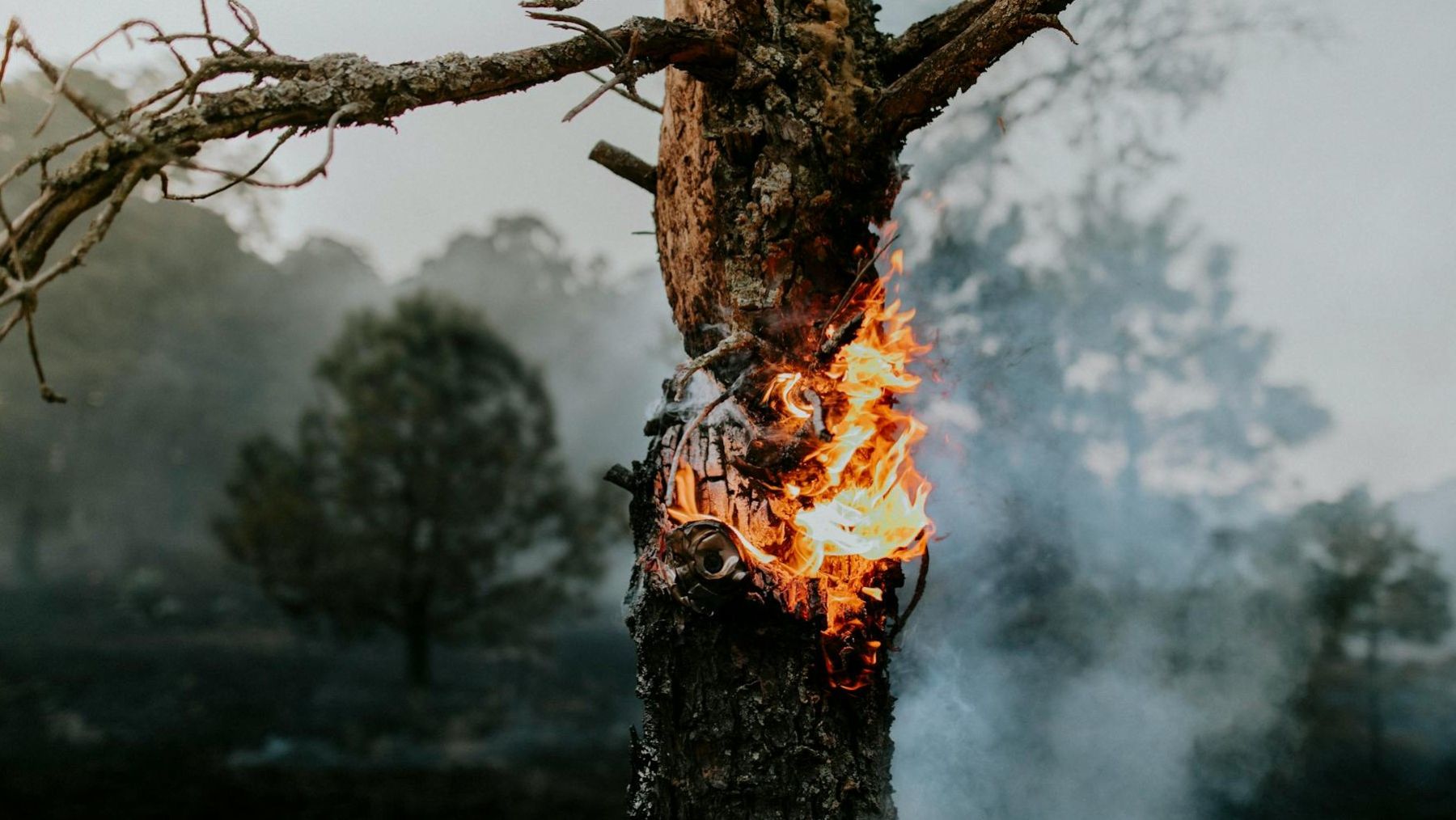 L'Espagne lance un système révolutionnaire pour détecter les incendies ...